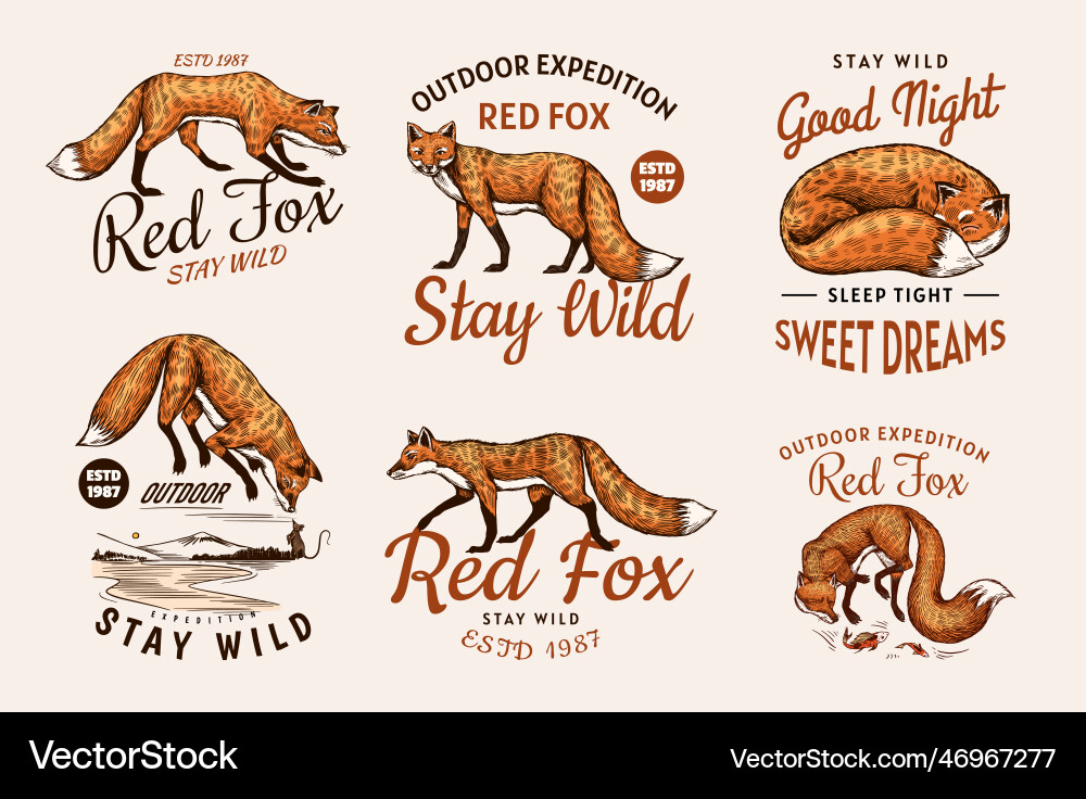 Red fox badges set forest ginger wild animal Vector Image