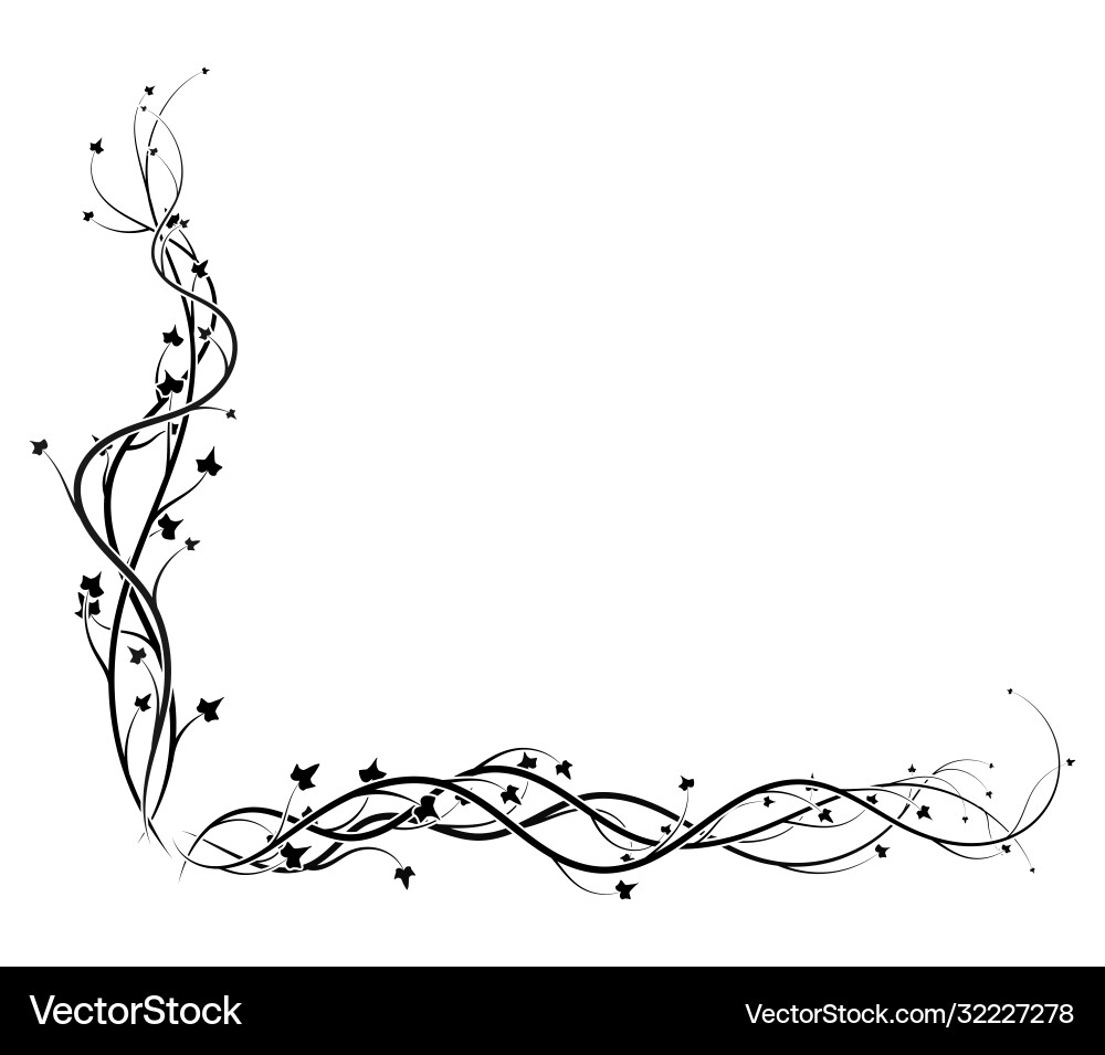 Black ivy corner frame on white background vine Vector Image