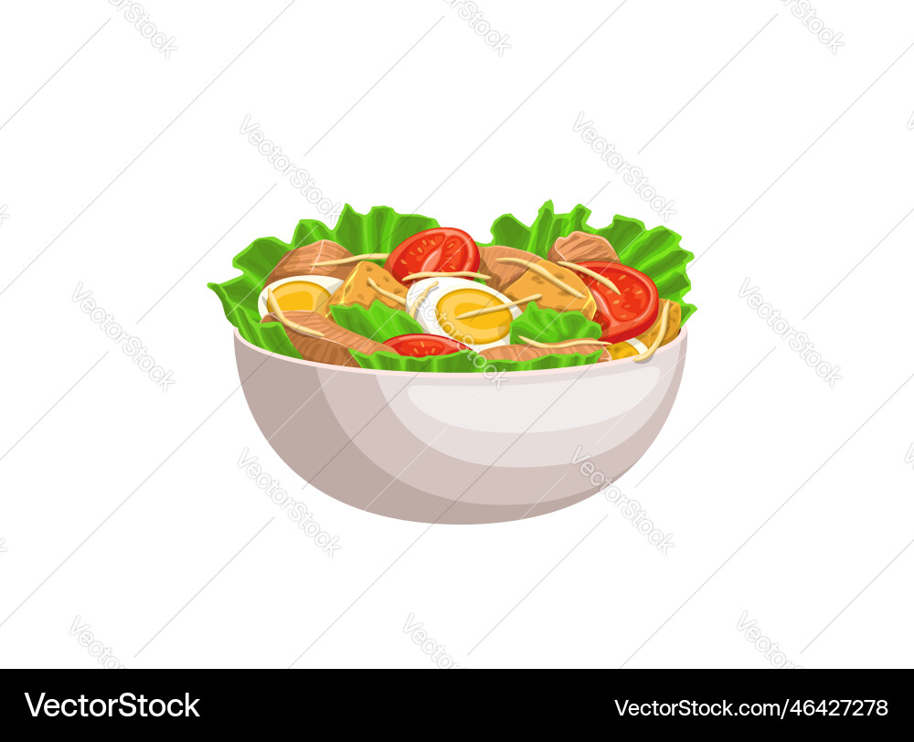 Cartoon caesar salad isolated bowl Royalty Free Vector Image