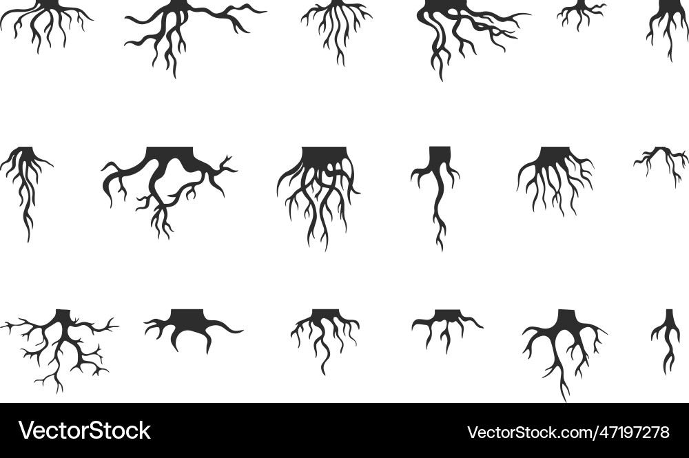 Tree roots isolated collection nature root Vector Image