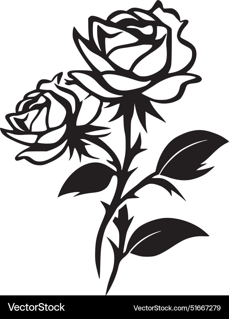 Roses - black and white Royalty Free Vector Image