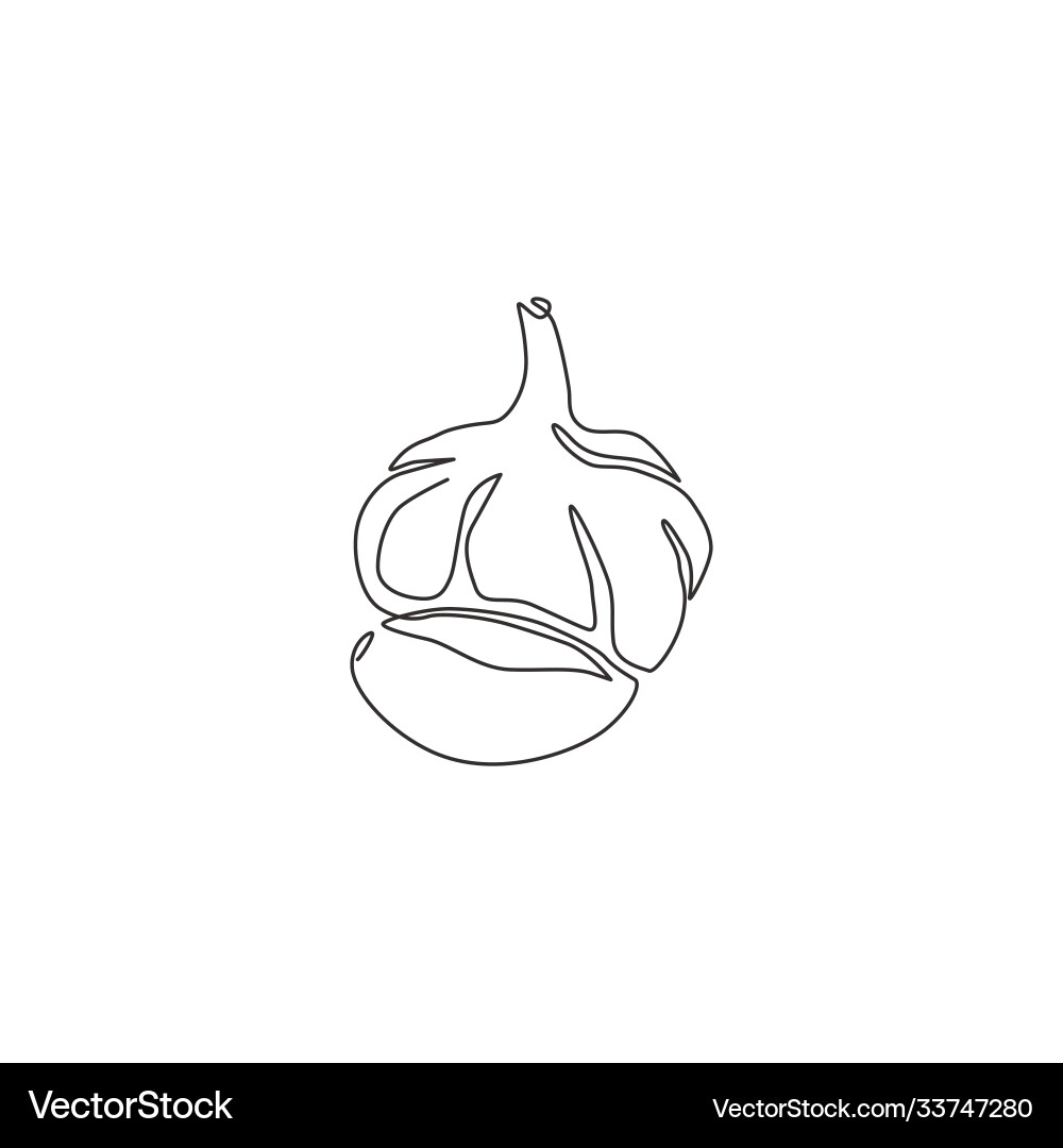 One single line drawing whole healthy organic Vector Image