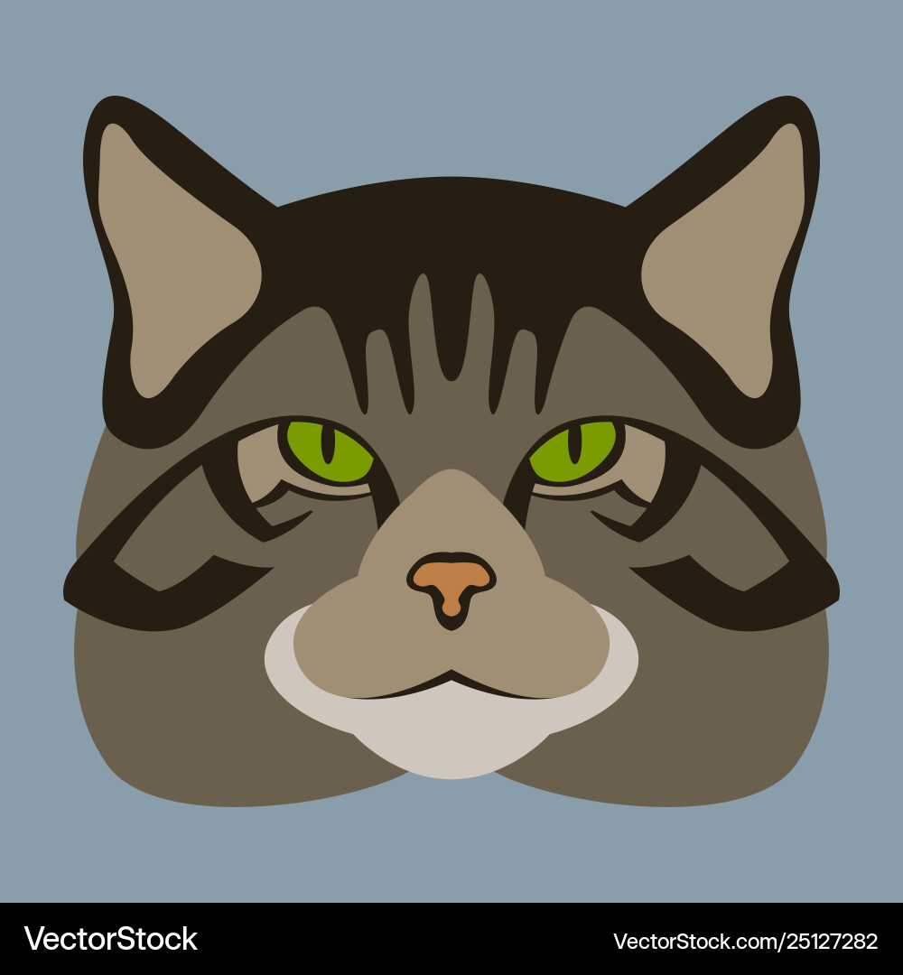 Scottish wildcat head flat Royalty Free Vector Image
