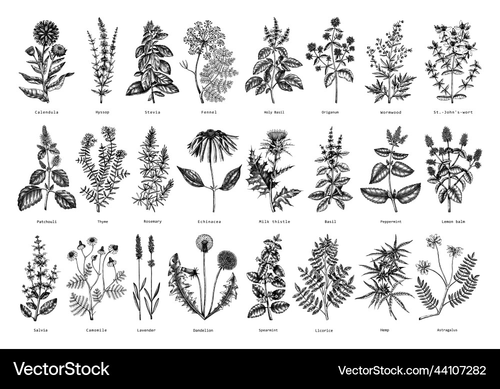 Dil Vector Images (59)