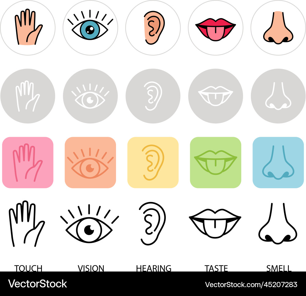 Five Sense Vector Images (over 820)