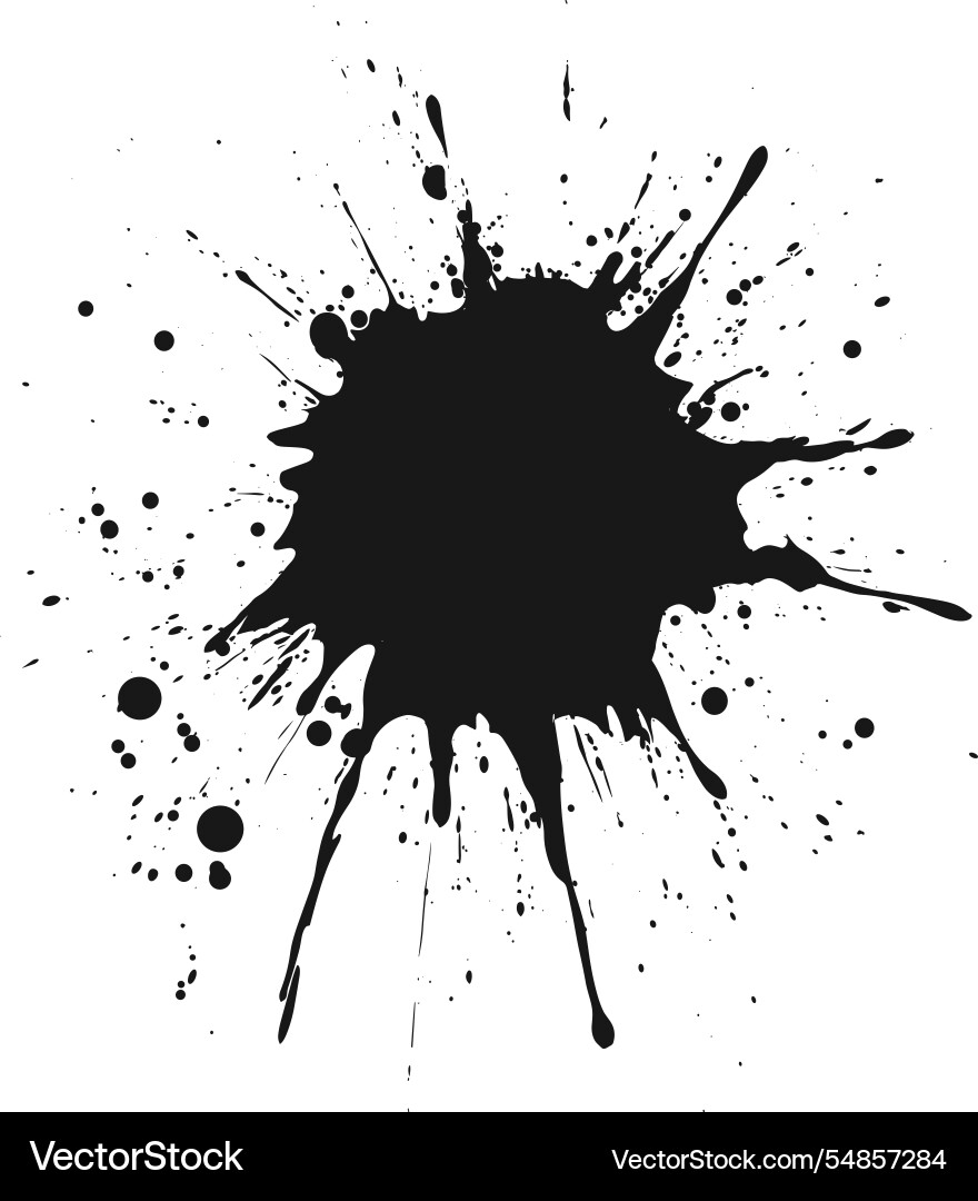 Abstract black ink splash isolated on white Vector Image