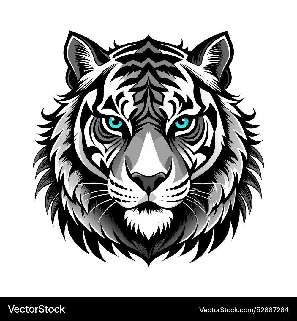 Fierce tiger face with blue eyes Royalty Free Vector Image