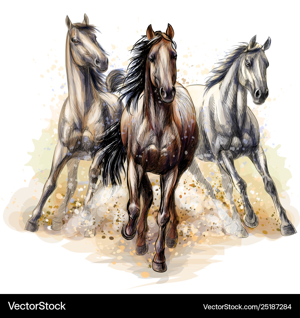 Three horses run gallop from a splash Royalty Free Vector