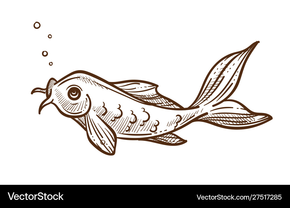 Fish breathing out bubbles catfish or sheatfish Vector Image