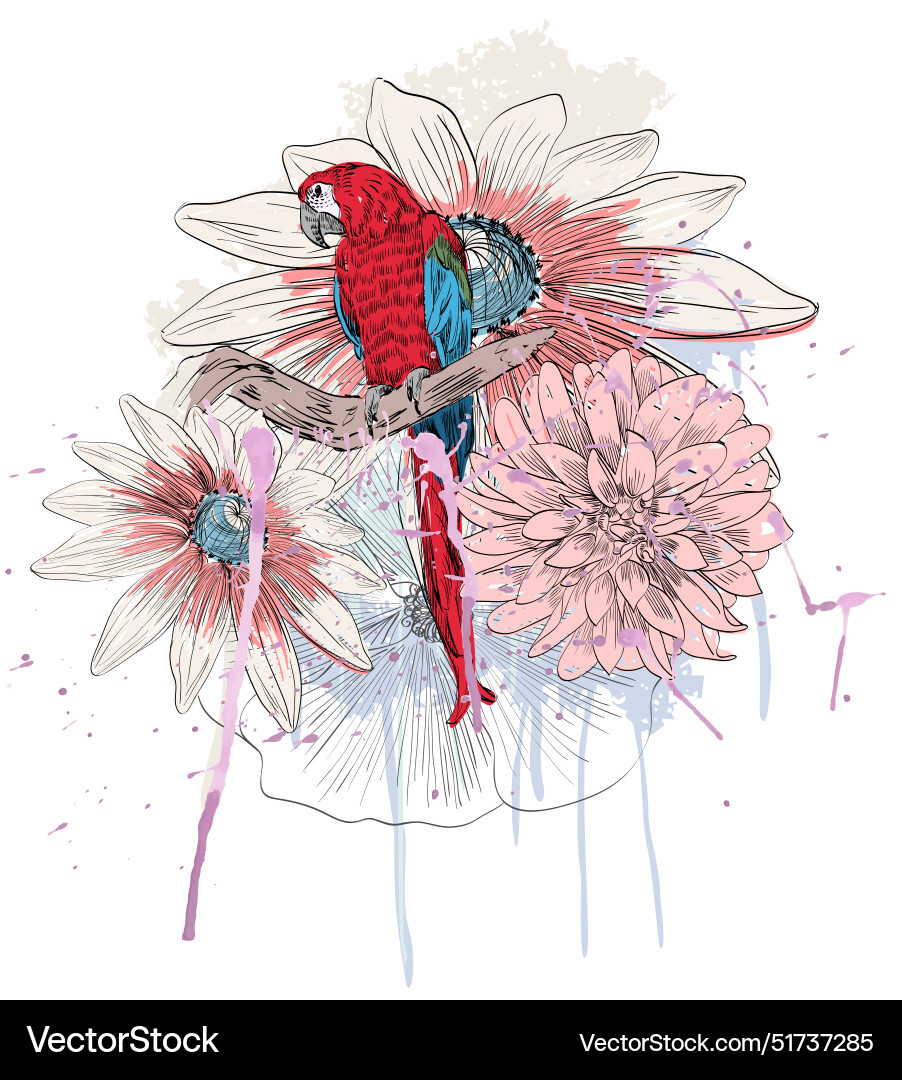 Parrot Royalty Free Vector Image - VectorStock