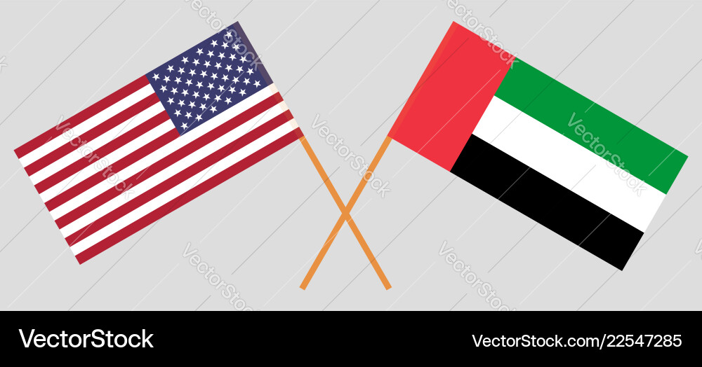Usa and uae flags Royalty Free Vector Image - VectorStock