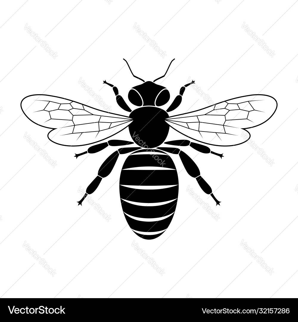 Bee Royalty Free Vector Image - VectorStock