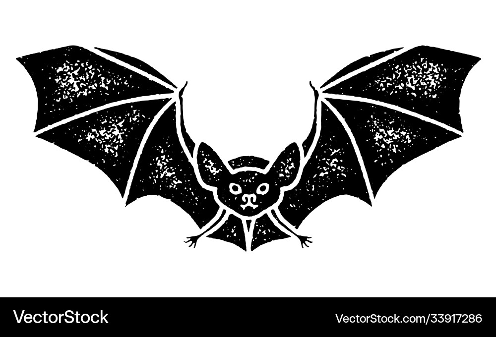 Grunge Bat Wing Vector Images (over 290)