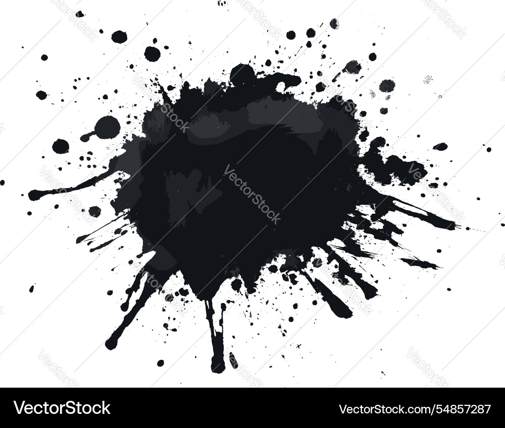 Abstract Black Ink Splash Isolated On White Vector Image