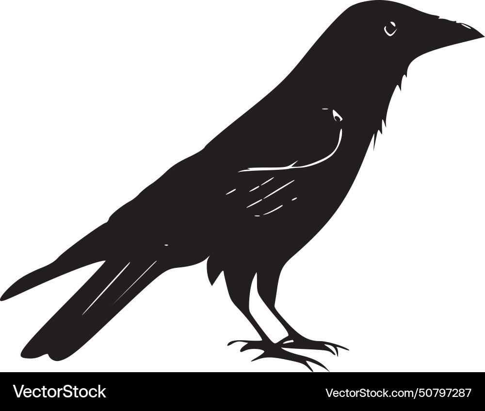 Crow - minimalist and simple silhouette Royalty Free Vector
