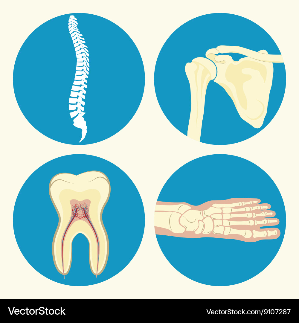 Medical icons set Royalty Free Vector Image - VectorStock