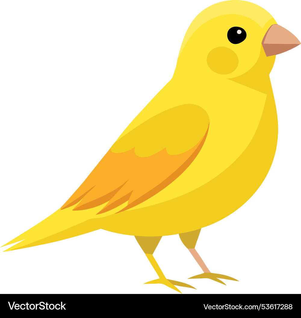 Canary Vector Images (over 6,200)