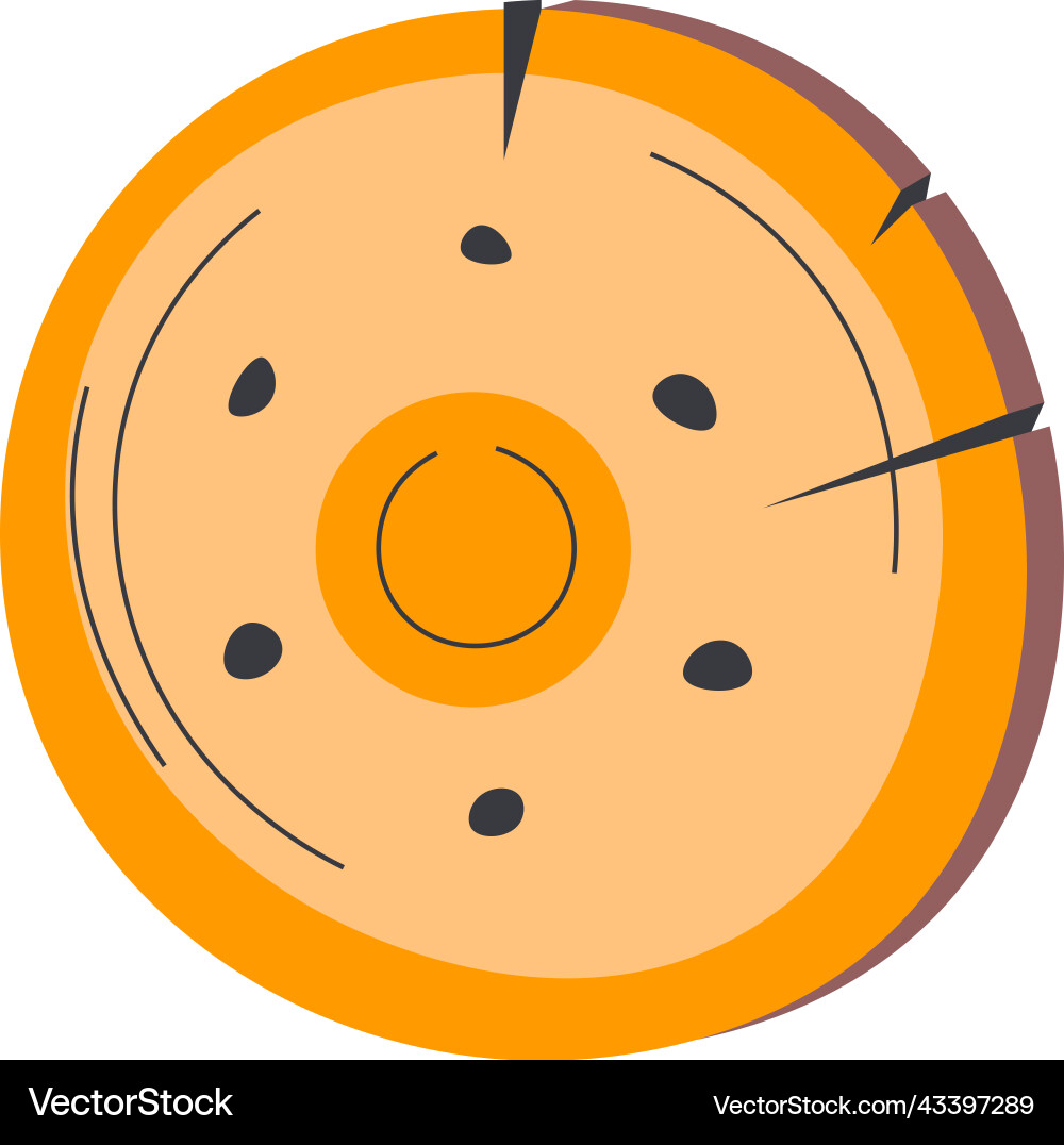 Ancient wooden shield for protection in fight Vector Image