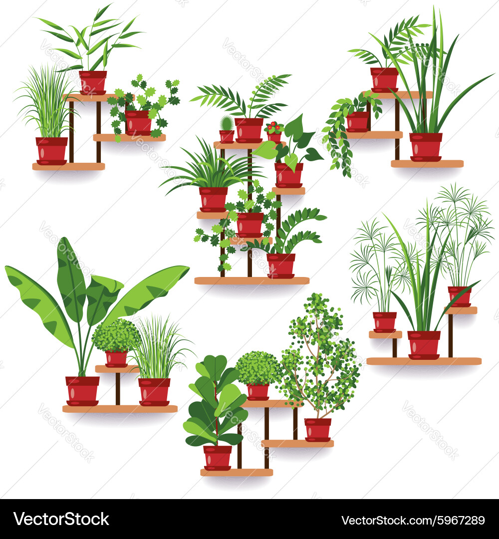 Pot plants set Royalty Free Vector Image - VectorStock