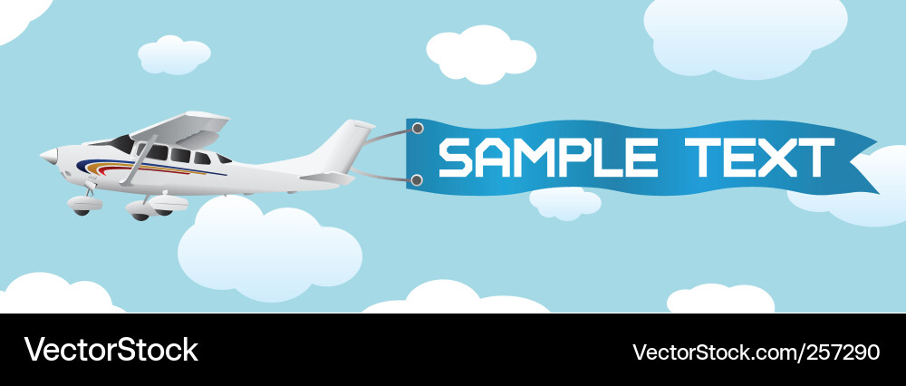 Plane Royalty Free Vector Image - VectorStock
