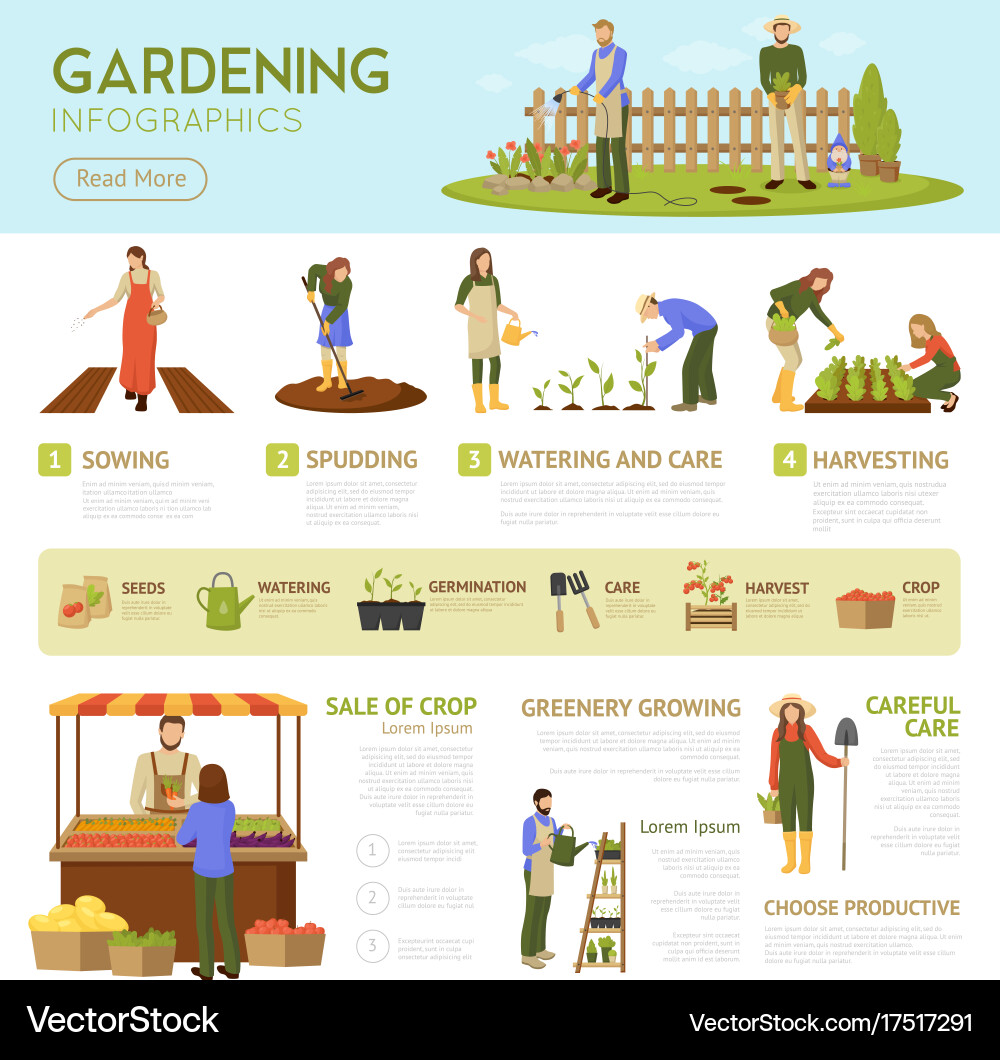 Gardening infographics template Royalty Free Vector Image