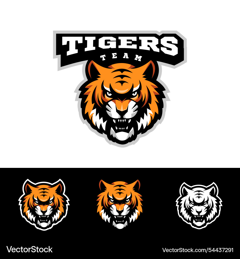 Tiger sport logo Royalty Free Vector Image - VectorStock