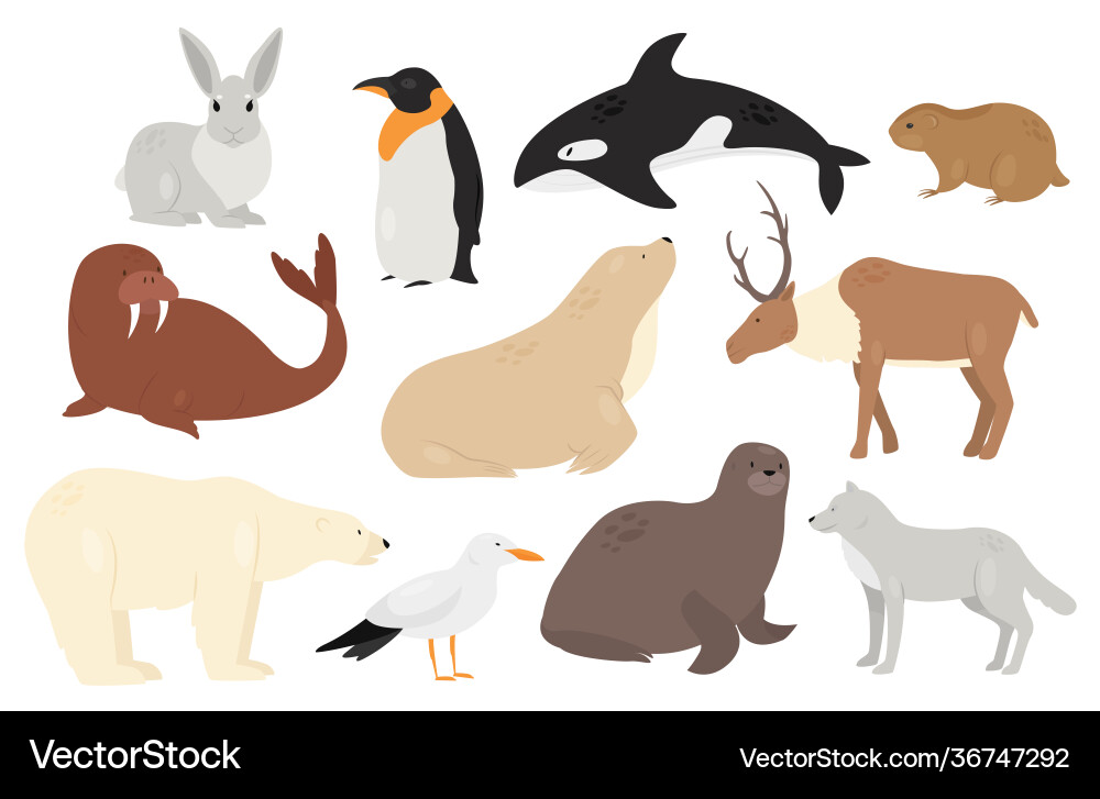 Cute arctic antarctica animals and birds set Vector Image
