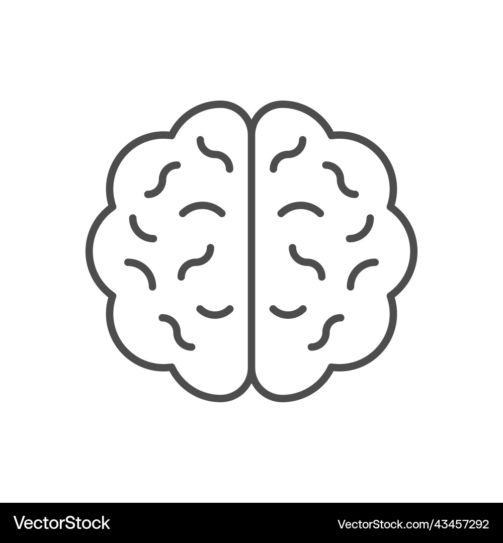 Human brain line outline icon Royalty Free Vector Image