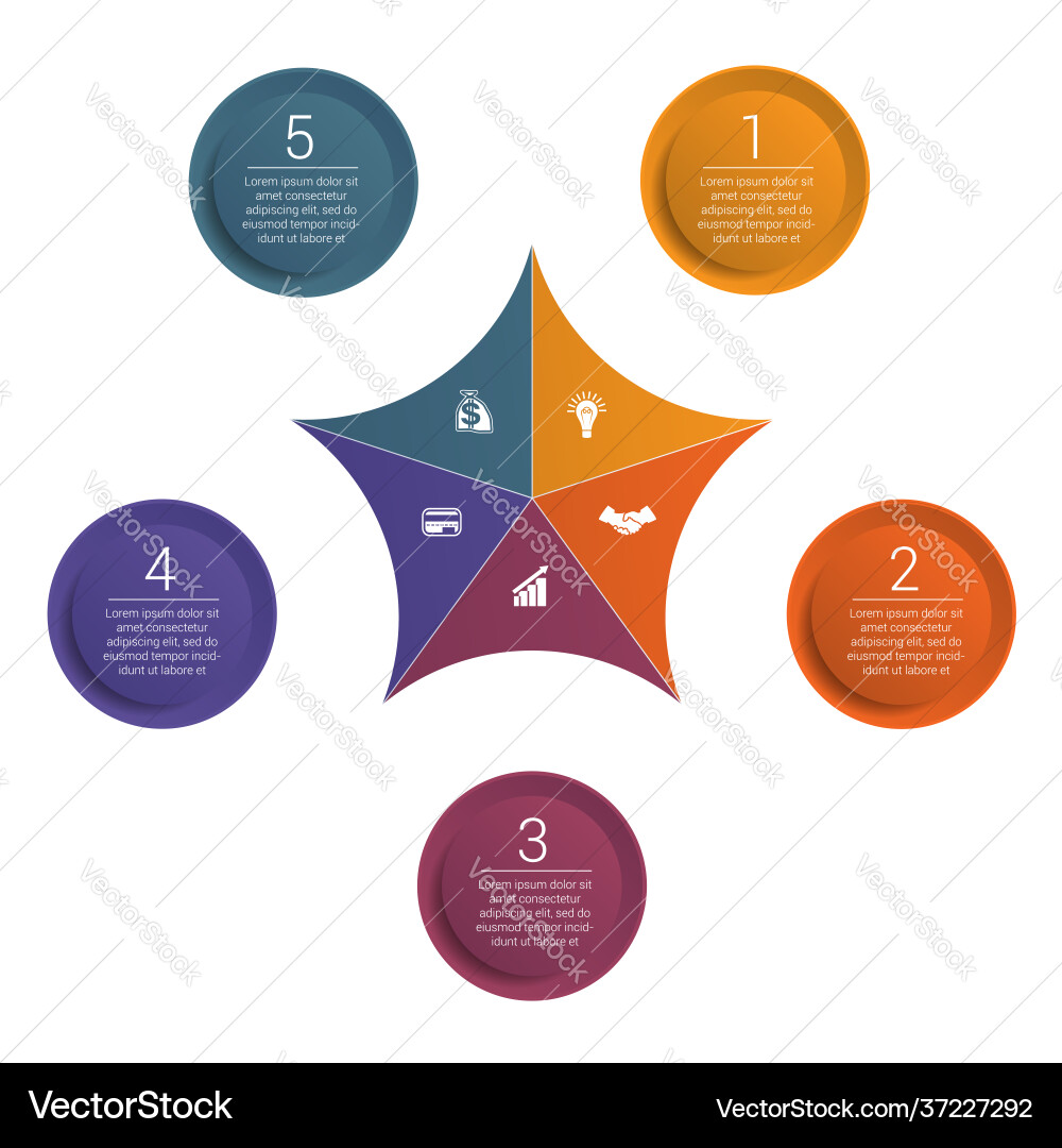 Infographic colorful template 5 positions Vector Image