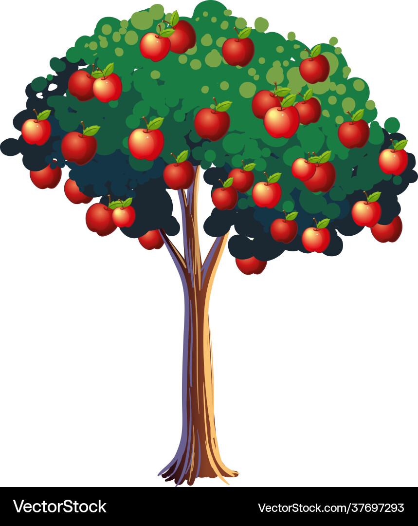 Apple tree isolated on white background Royalty Free Vector