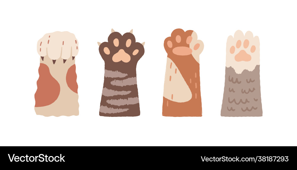 Cute cat paws with claws and soft pads set Vector Image