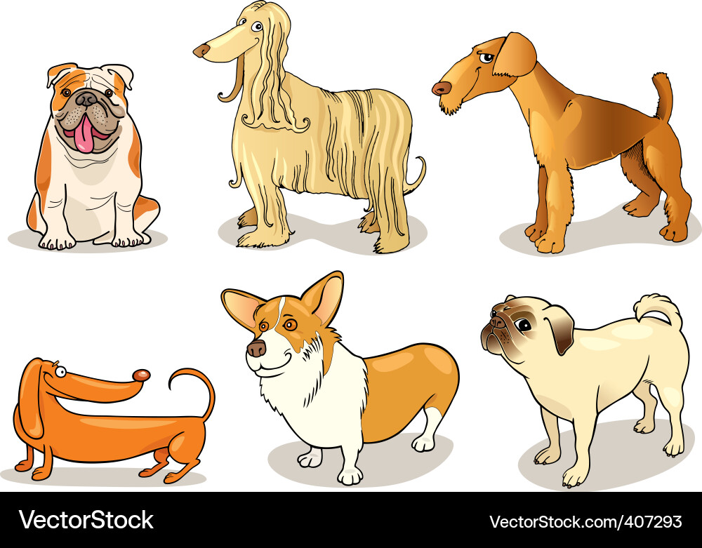 Dogs Royalty Free Vector Image - VectorStock