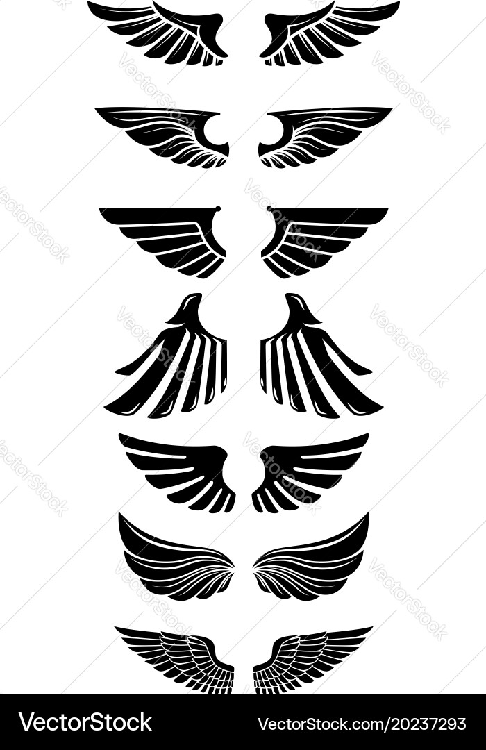 Set of wings icons design elements for logo label Vector Image