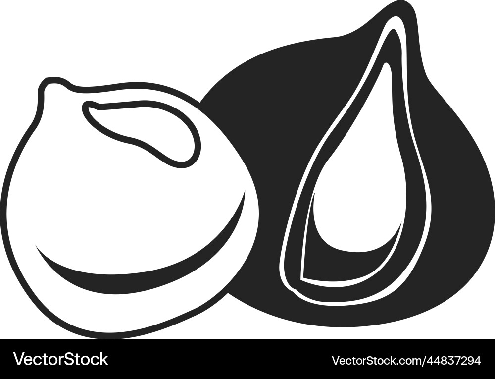 Macadamia nut black icon natural vegan diet snack Vector Image