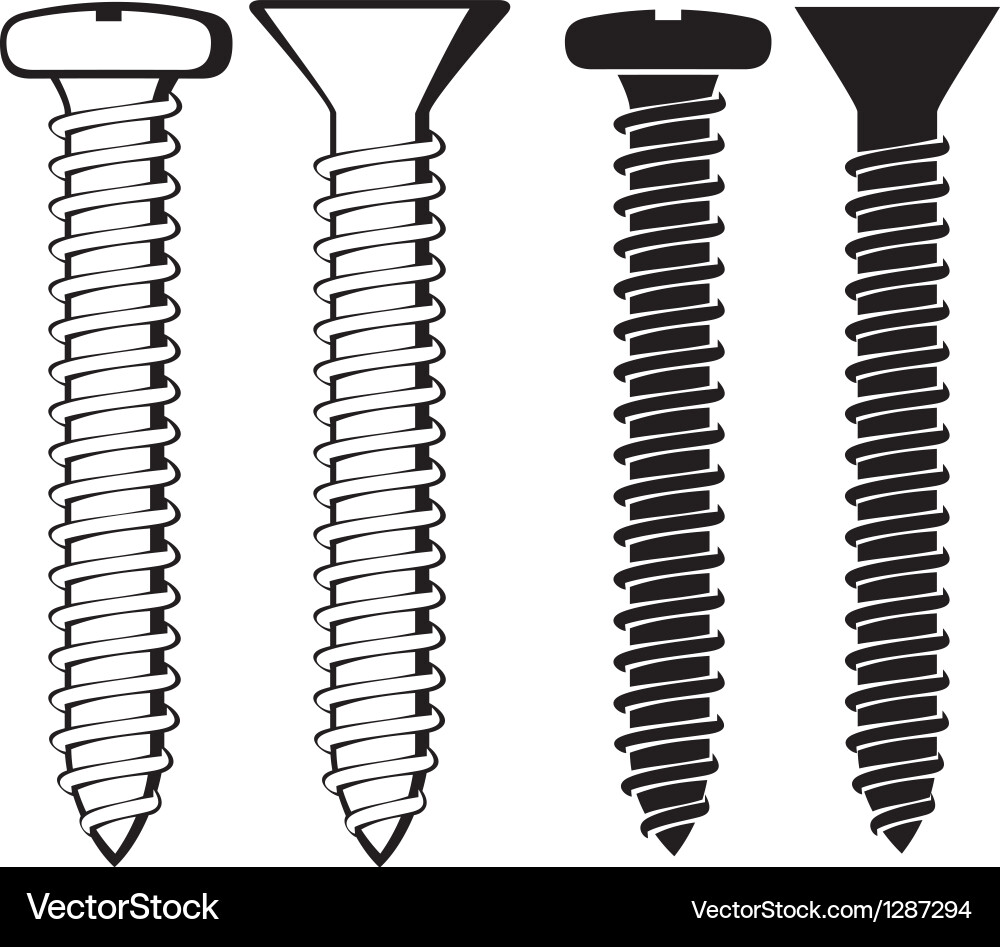Screws Royalty Free Vector Image - VectorStock