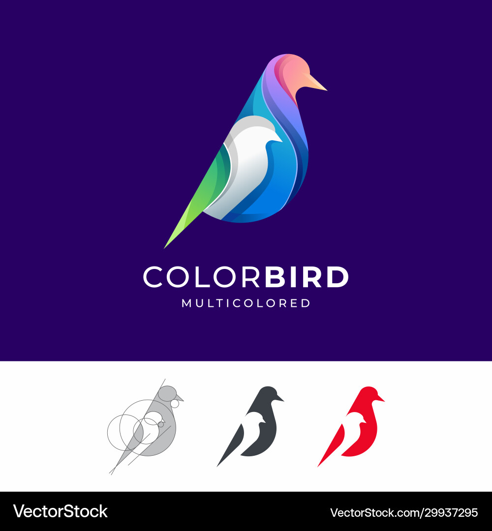 Bird colorful logo Royalty Free Vector Image - VectorStock