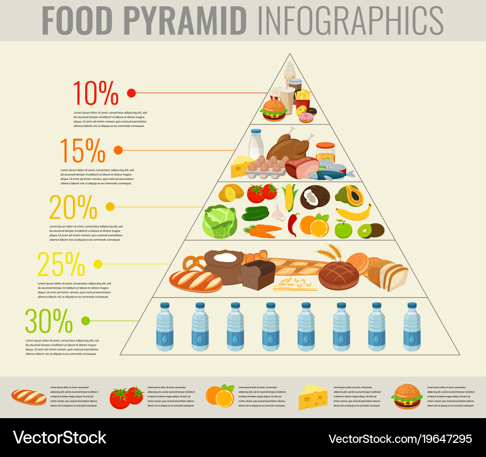 Lebensmittel-Pyramide Gesund essen Infografik Vektorbild