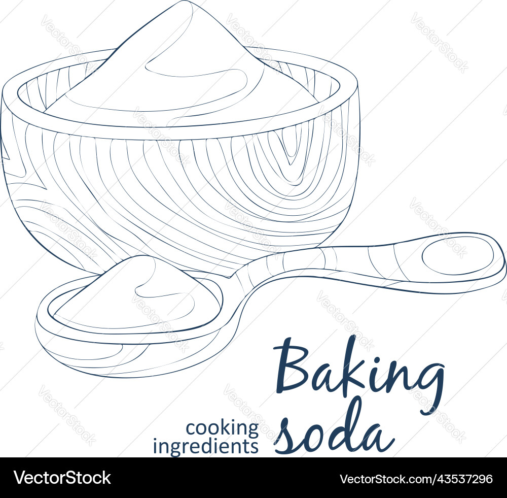 Hand-Drawn Baking Soda Royalty Free Vector Image