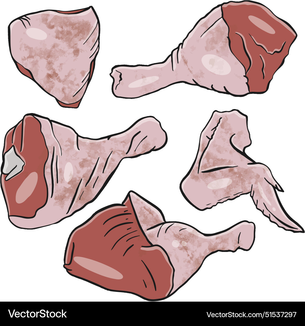 Chicken slices Royalty Free Vector Image - VectorStock