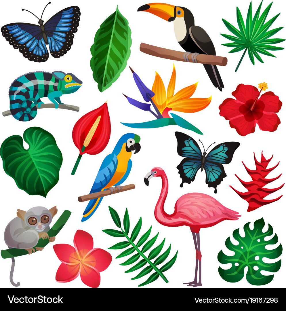 Tropical exotic icon set Royalty Free Vector Image