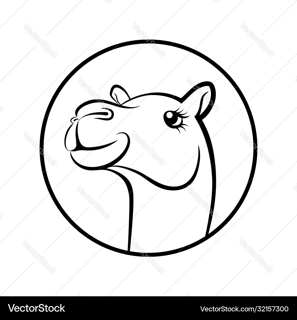 Camel face Royalty Free Vector Image - VectorStock