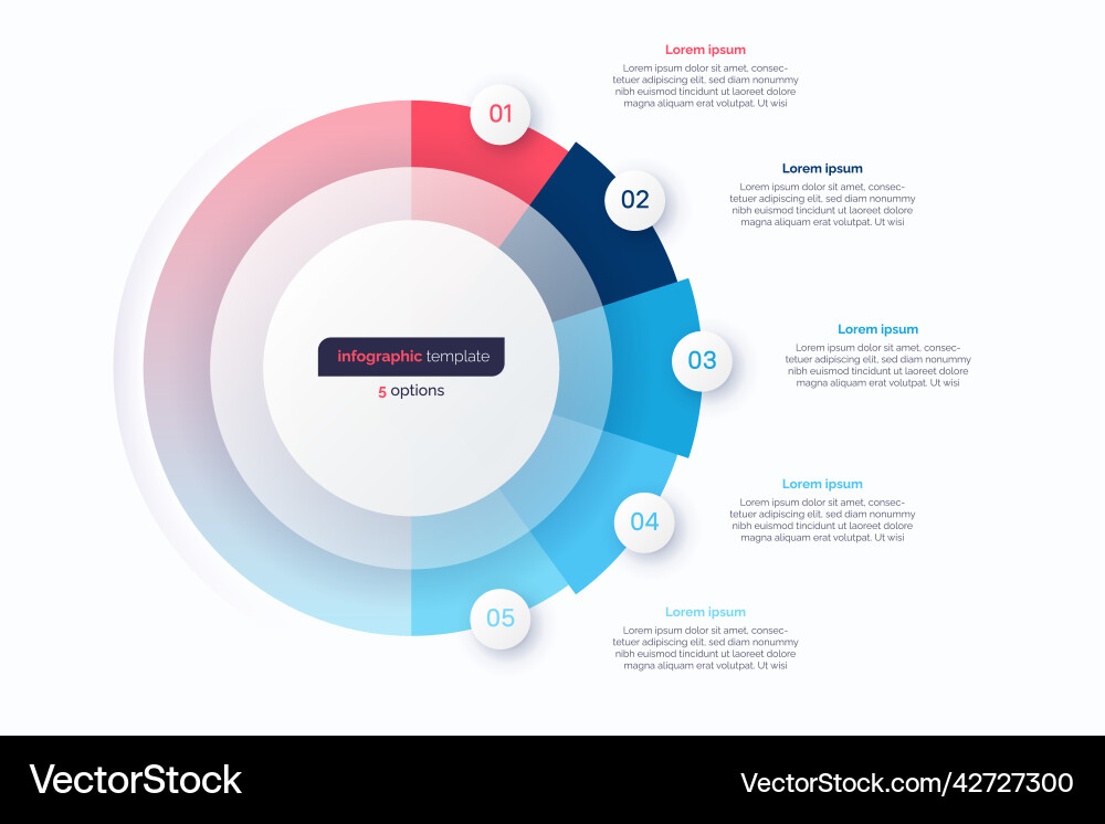 Five option circle infographic design template Vector Image