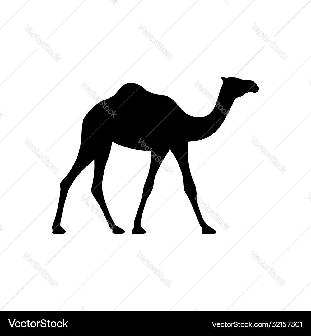 Camel Racing Vector Images (over 150)