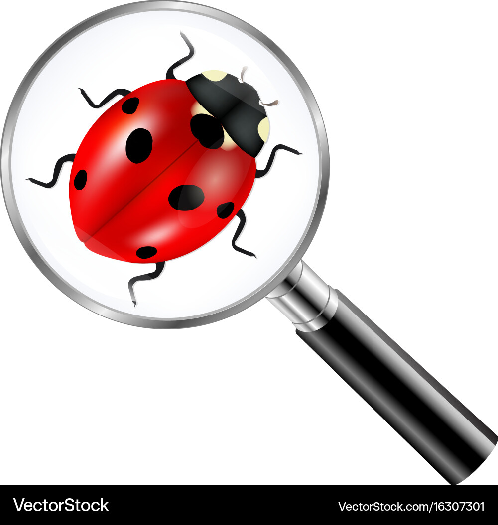 Magnifying Glass with Ladybug Royalty Free Vector Image