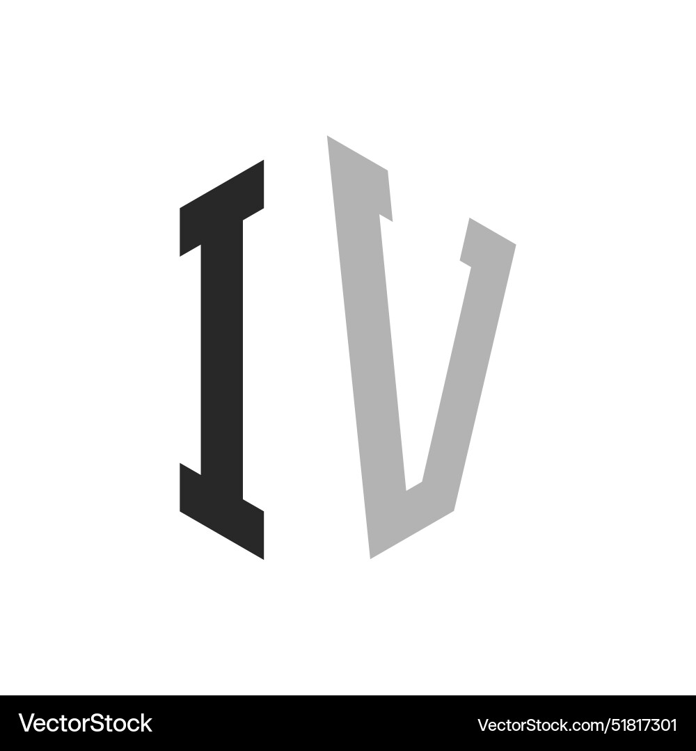 Modern unique hexagon letter iv logo design Vector Image