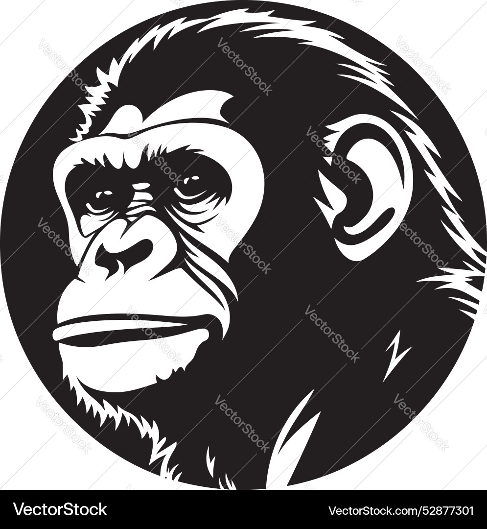 Monochromatic magic black chimpanzee design Vector Image