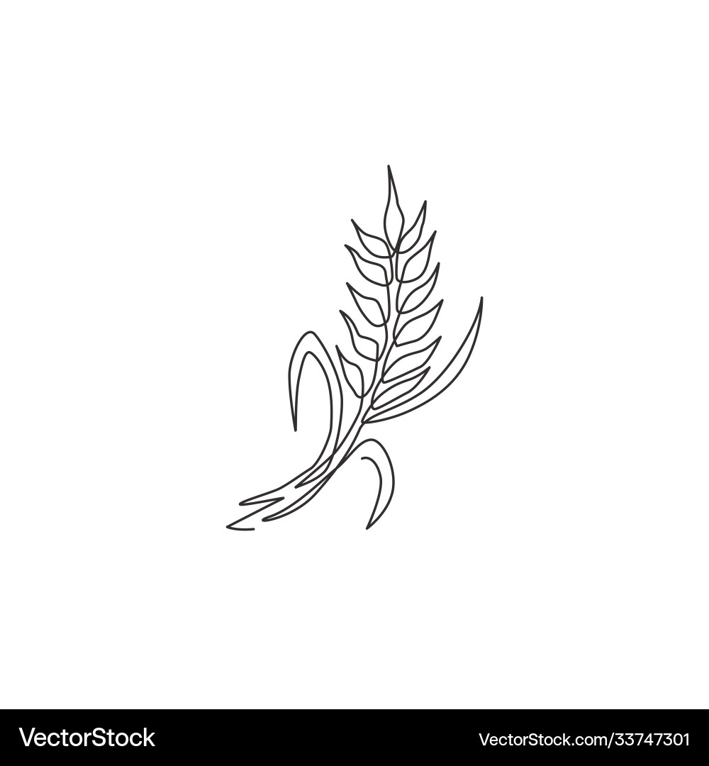 One continuous line drawing whole healthy Vector Image