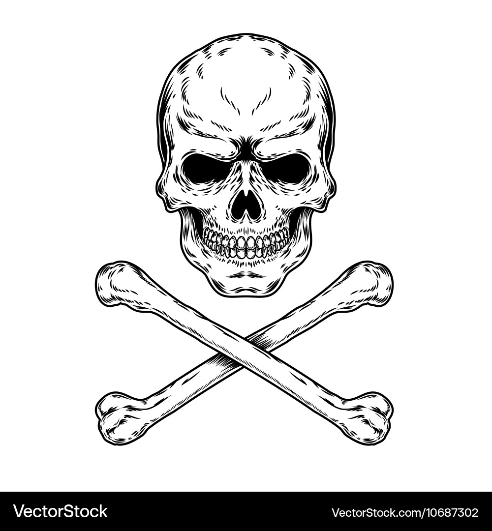 A skull and crossbones Royalty Free Vector Image