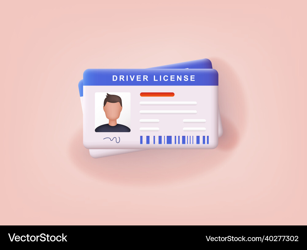 Driver license with photo identification or id Vector Image