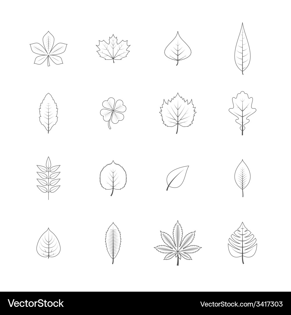 Line Art Leaf Icon Set Royalty Free Vector Image